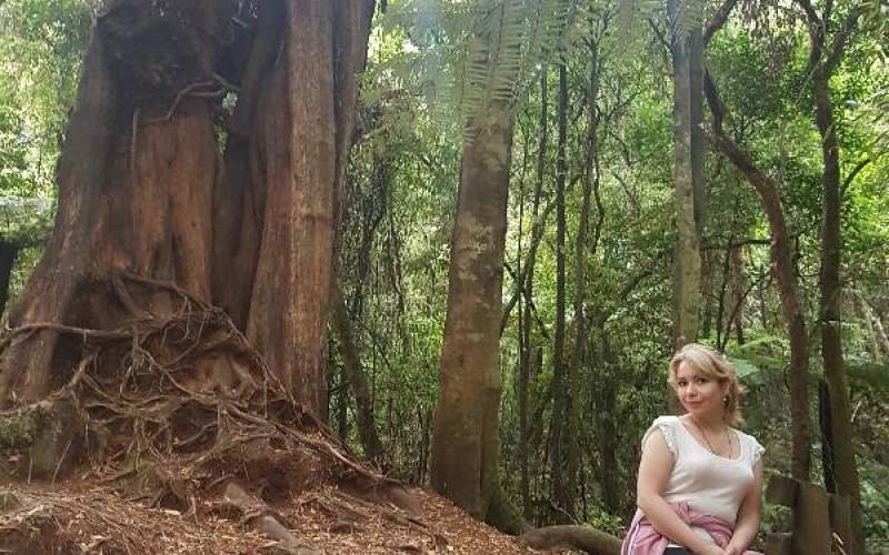 Kaitoke Regional Park | Freedom/Basic Camp | New Zealand